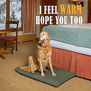 SwSun Outdoor Pet Heating Pad Waterproof, 80W Heated Cat Bed Built-in Auto Thermal System, Energy Saving and Environmental Protection, Ideal Used Outdoor for Cats, Dogs, Rabbits, and Other Pets