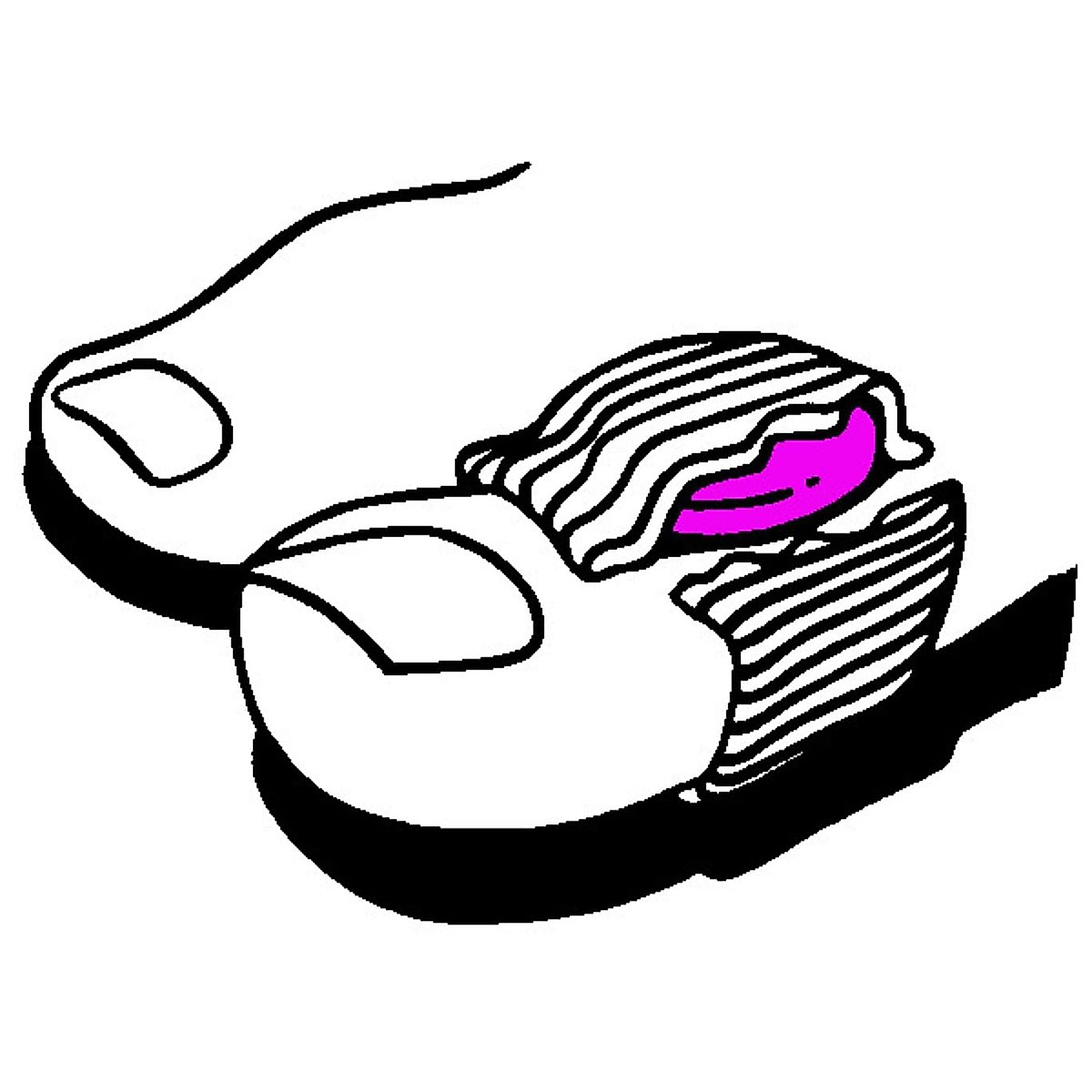 Dr Jill’s Foot Pads, Y42753, Latex Free Gel and Fabric Corn Pads-Small/Medium-6 Pack