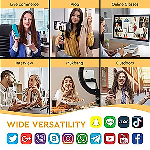 2 Pack Wireless Lavalier Microphone for iPhone iPad with Charging Case, Intelligent Noise Reduction Clip on Lapel Microphone Wireless for Video Recording Vlogging, YouTube, Interview, 65ft