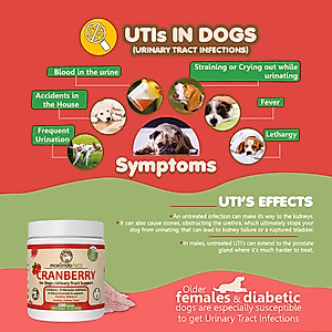Dog Cranberry Supplement - Natural Dog UTI Treatment & Kidney Support for Dogs. Dog Supplement Powder Same as Cranberry Pills for Dogs. Puppy Supplies for Dog Pee Health - Dog Incontinence Product