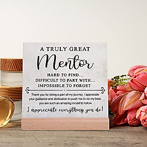 Mentor Gifts for Women Men, Thank You Mentor Sign, Plaque With Stand, Leaving Going Away Retirement Appreciation Gifts for Boss, Coworker, Teacher, Counselor, Coach, Supervisor