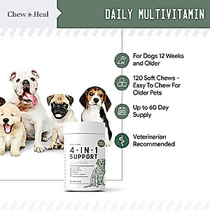 Chew + Heal All in 1 Dog Vitamin - 120 Soft Chew Treats - Chewable Multivitamin with Probiotics, Digestive Enzymes, for Skin and Coat, Hip and Joint Support - with Omega, Calcium - Made in The USA