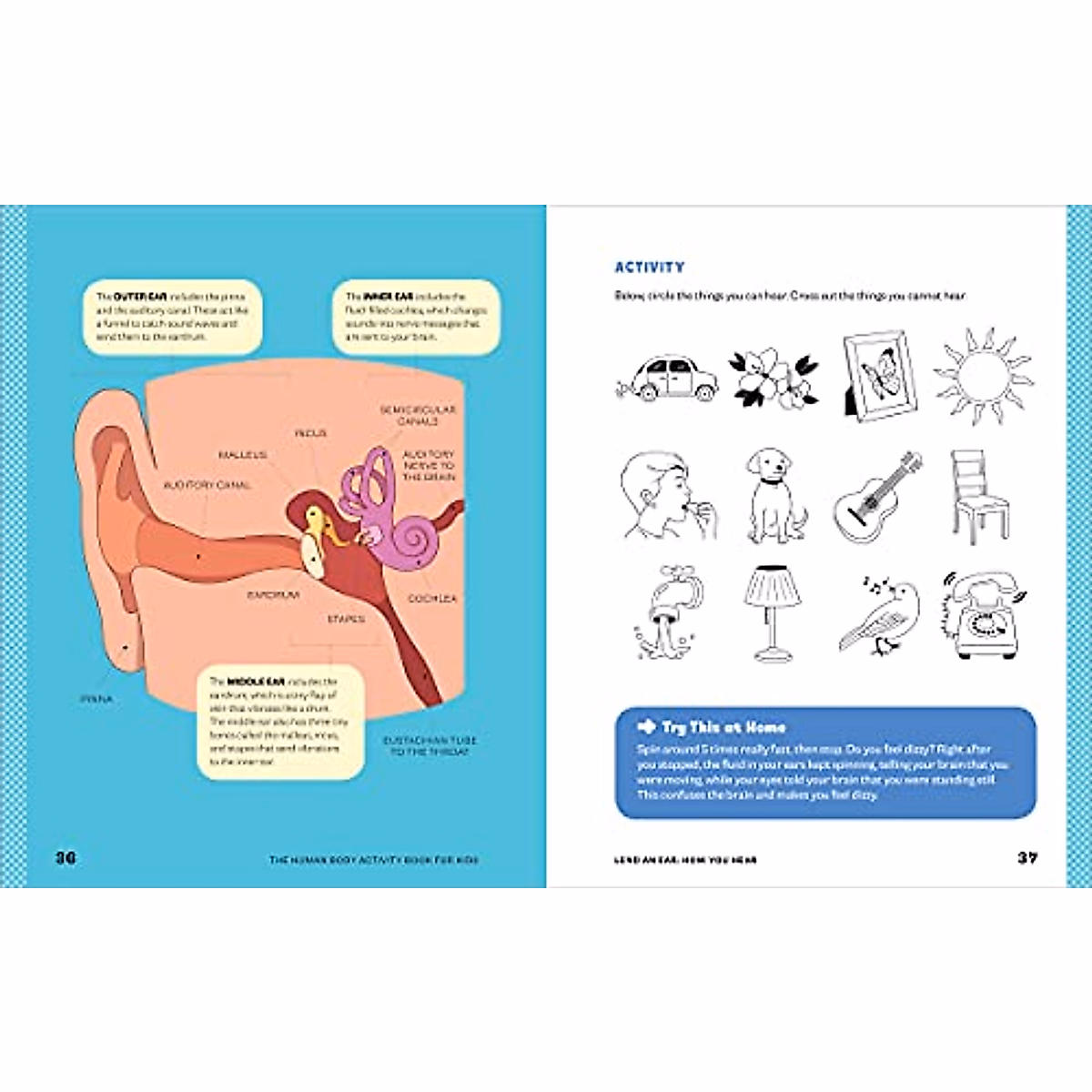 Human Body Activity Book for Kids: Hands-On Fun for Grades K-3