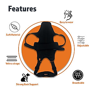 NeoAlly Dog Back Brace for Dogs Arthritis, IVDD, Spinal Surgical Recovery, and Back Disease Prevention (Extra Large)