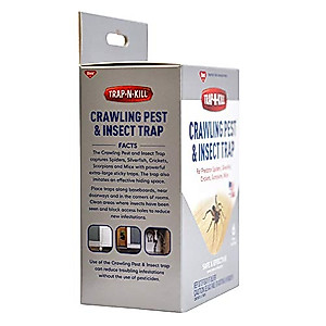 Enoz Trap-N-Kill Spider and Silverfish Sticky Traps, Nontoxic, Made in USA, 6 Count