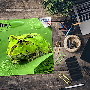 2023 2024 Frogs - Reptile Monthly Wall Calendar - 12 x 24 Open - Thick No-Bleed Paper - Giftable - Academic Teacher's Planner Calendar Organizing & Planning