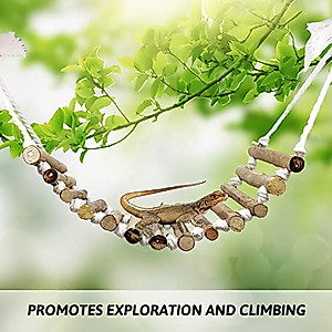 Hamiledyi Gecko Ladder Bridge, 2 PCS Wooden Reptile Ladders Hanging Bearded Dragon Rope Bridge Hermit Crab Climbing Toys Terrarium Accessories for Chameleons Turtle Lizard Frog