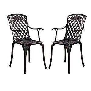 Withniture Cast Aluminum Patio Chairs,Outdoor Dining Chairs Set of 2 with High Back,Metal Patio Chairs,All Weather Outdoor Bistro Chair for Garden,Backyard(Bronze)
