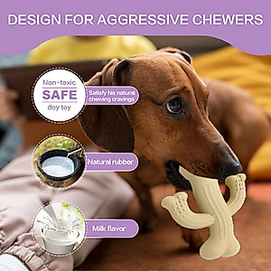 Medlladle Dog Chew Toys Cactus for Aggressive Chewers Small Breed, Indestructible Tough Dog Toys for Puppies Pet Toy with Durable Natural Rubber