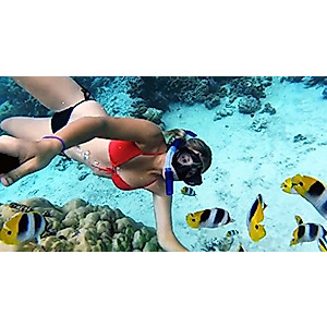 Yimobra Waterproof Housing Case for Gopro Hero 4 and Hero 3+ with Quick Release Mount and Thumbscrew Protective 147FT 45M Underwater Photography Dive Hero Transparent (Presented One More Clip)