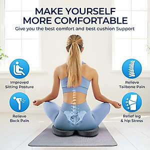 Seat Cushion & Lumbar Support Pillow: Memory Foam Chair Pad Back Cushion for Office Chair Car Seat Wheelchair Travel, Reduce Tailbone Pressure and Improve Comfort, Orthopedic Sciatica Hip Pain Relief