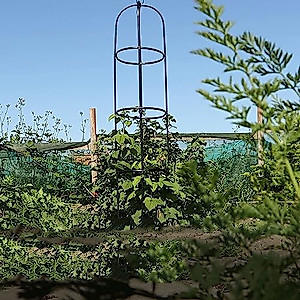 Garden Obelisk,18.5 * 2.9M, for Climbing Plant Obelisk, Garden Trellis for Roses, Climbing Plants Support Structure,Plant Cage