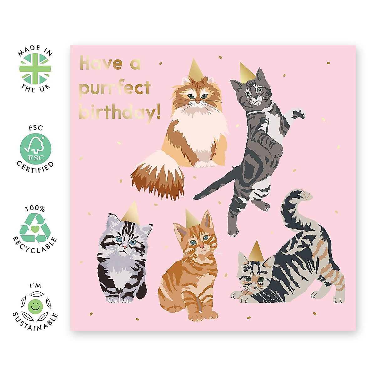 Central 23 — Cute Birthday Card for Her - Cats 'Purrfect Birthday' - For Mom Wife Sister - Comes With Fun Stickers