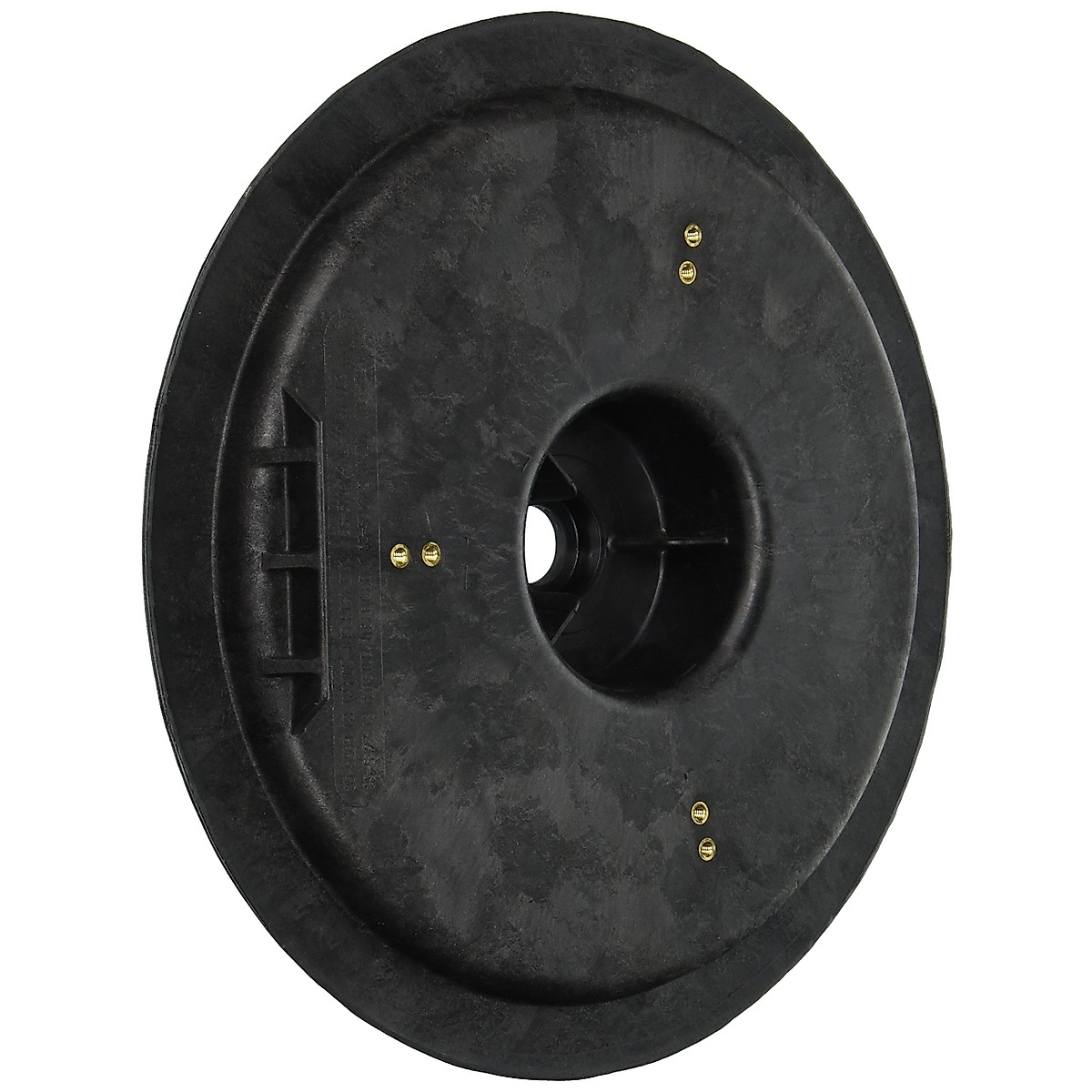 Pentair 355004 Seal Plate Replacement Pool and Spa Pump