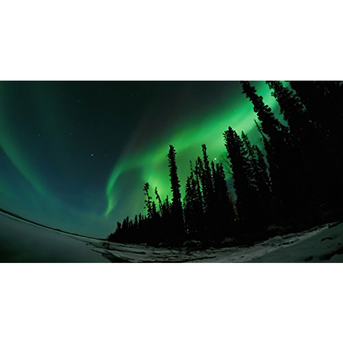 GoPro Tripod Mounts (All GoPro Cameras) - Official GoPro Mount, Black