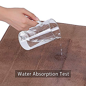 EGYPHY Bathroom Rugs Memory Foam Bath Mat 17x24 Inches, Soft and Absorbent Non-Slip Carpet, Super Cozy Velvet Mats Used for Shower Bathtub Kitchen, Machine Washable Plush Microfiber Bath Rugs,Coffee