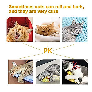 MR-BABULA Premium Natural Catnip, Selected Fresh Catnip Leaves & Bud (3OZ)