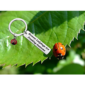 HOLLP Ladybug Jewelry Lady Beetle Gift Because Ladybugs Are Freaking Awesome Keychain for Gardener (Because Ladybugs)