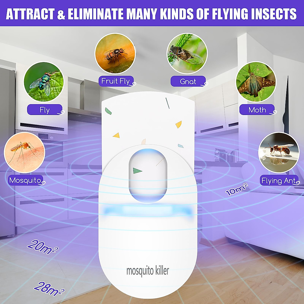 Gnat Trap for House Indoor Flying Insect Trap Bug Catcher Plug in Fly Trap Indoor Mosquito Trap UV Bug Light Bug Catcher with 5 Sticky Bug Trap Boards for Home Office