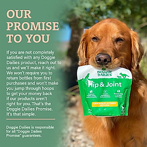 Doggie Dailies Glucosamine for Dogs - 120 Chews - Joint Supplement for Dogs of All Breeds & Sizes - Hip and Joint Supplement for Dogs - Premium Glucosamine and Chondroitin for Dogs (Chicken)