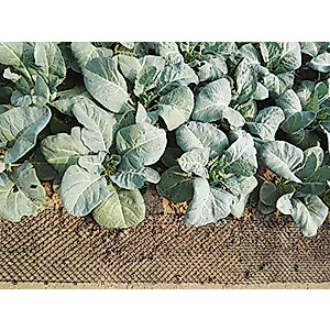 P.C Repellent Cat Scat Mat Plastic Spike Keep cat away 6.5' Black 1pcs