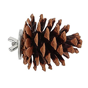 AUHX Pine Cone Chewing Bird Toy, Parrots Chewing Pine Cones Bite Resistant Multifunction for Conure for Cockatiel