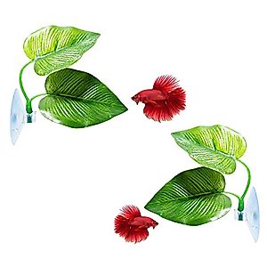 CousDUoBe 2 Pack Betta Fish Leaf Pad Improves Betta's Health by Simulating The Natural Habitat - Natural, Organic, Comfortable Rest Area for Fish Aquarium