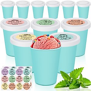 FoldTier 12 Sets 8oz Mini Ice Cream Containers with Silicone Lids Homemade Ice Cream Portion Control Containers and Weight Loss Motivation Single Serving Mini Freezer Cups for Homemade