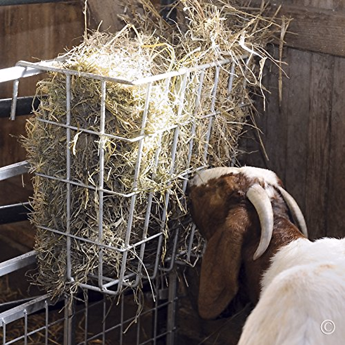 Premier X-Tuff Single Sided Hay Feeder