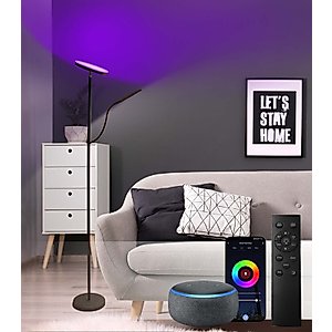 2 in 1 RGB Floor Lamp with Reading Lamp 30W/15W Color Changing Mood Sky LED Modern Super Bright Floor Lamps-Tall Standing Pole Light with Remote & Touch Control for Living Room,Bed Room,Home Office