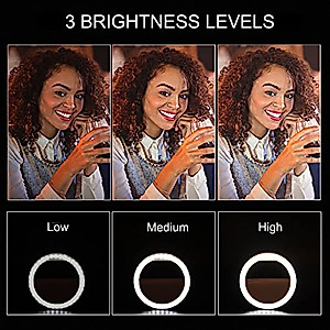 Selfie Ring Light,HONGDAYI Clip-on Selfie Light for Phone Camera 3-Level Brightness Small Mini LED Ring Light for Phone,Laptop,Computer,Tiktok,Photography,Video,Makeup (White)