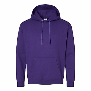 Hanes Mens Ecosmart Hooded Sweatshirt, S, Athletic Purple