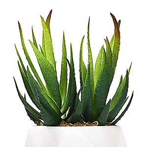 Shiny Flower Artificial Succulent Plants Artificial Aloe Plant Fake Succulent Plant in Ceramic Pot with 2 PCS Create Realistic Succulent Arrangements Floral Arrangement Gifts Home Office Decoration