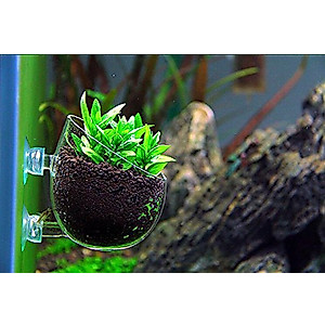 Tfwadmx Plant Pot Aquarium Decor Aquatic Plant Cup with 2 Suction Cup for Fish Tank Aquarium Aquascape(2 Pack)