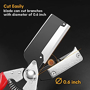 FUJIWARA Garden Grafting Tool Multifunctional Pruning Kit V-Graft Seedling for Fruit Tree Grafting, Including 2 Different Sizes Graft Tapes, 1 Screwdriver, 1 Replacement Blade,Red