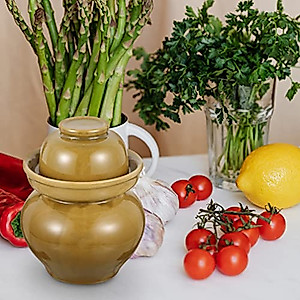 KOAIUS 1kg Terracotta Traditional Chinese Fermenting Jar Stoneware Pickles Jar with Water Sealed Airlock Lid Ceramic Food Canister Bottle for Pickling Kimchi Sauerkraut jar