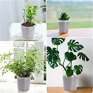 UPINS Clear Nursery Pots 40 Packs 3/4/5/6 Inches Plant Pots with Drainage Hole Seedling Transparent Plastic Gardening Pots Durable Seed Starter Pots Reusable for Plants Vegetables