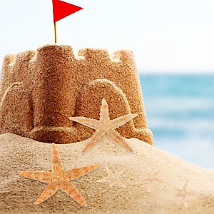 SEWACC 100pcs Ocean Beach Natural Seashells Sea Stars Nautical Fish Tank Aquarium Decor Table Scatter Vase Fillers for Christmas Tree Ornament Wedding