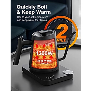 Gooseneck Electric Pour-Over Kettle, Temperature Variable Kettle for Coffee Tea Brewing, 0.9L Stainless Steel Kettle, Temperature Holding, Built-in Stopwatch