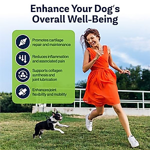 Level Up Pup Dog Hip & Joint Supplement and Inflammation Relief with Glucosamine, Chondroitin, MSM, Hyaluronic Acid, Green Lipped Mussel, Turmeric, and Vitamin E. 60 Peanut Butter Flavor Soft Chews.