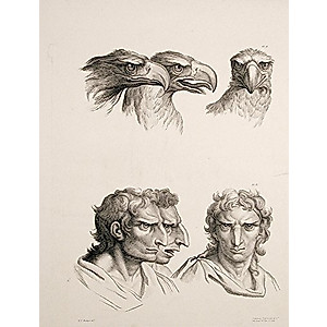 [Illustration of physiognomic resemblance between a Man and an Eagle]
