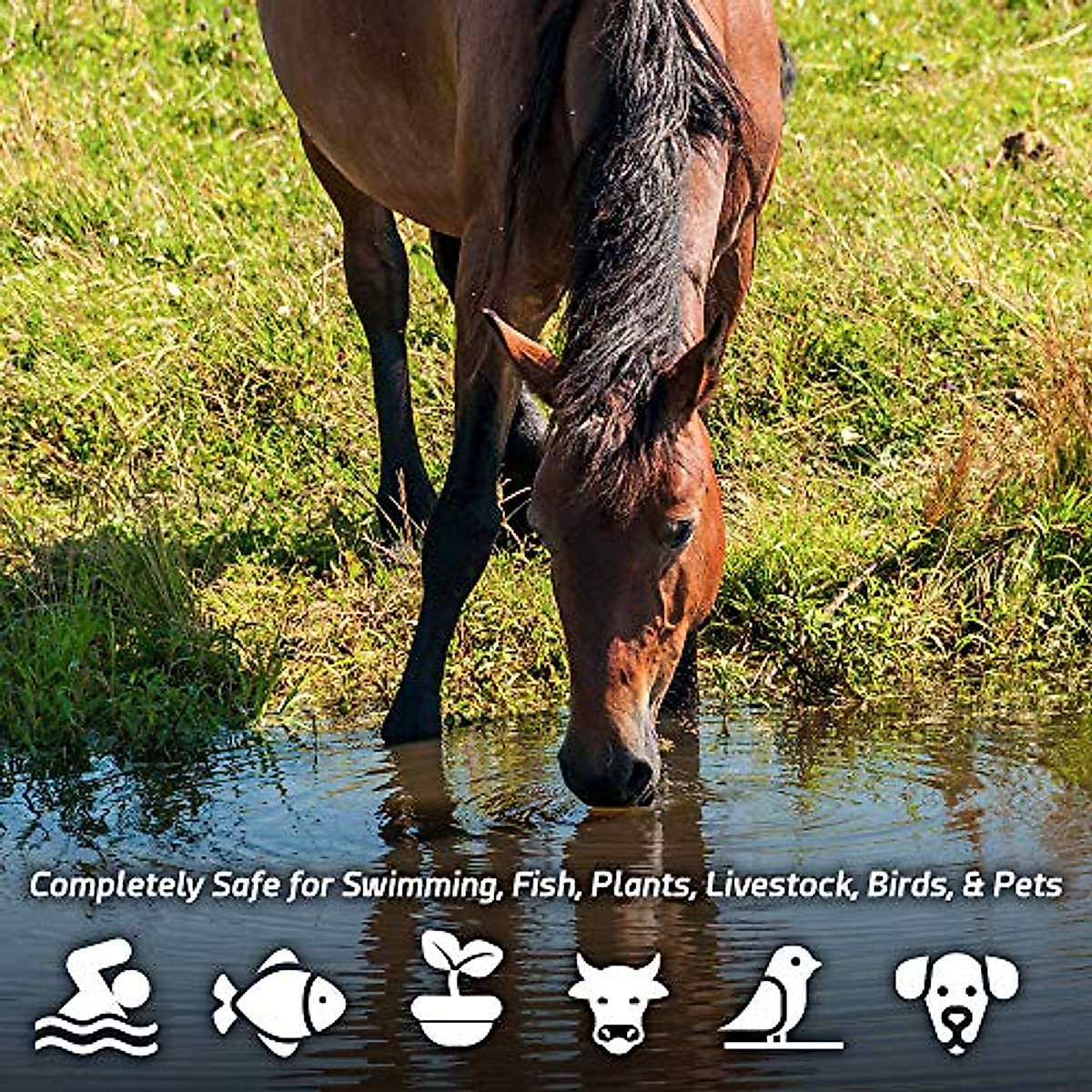 Pond Sludge Remover – 5 Pounds Beneficial Pond Bacteria & Enzyme Treatment - 100% Natural Muck Digester – Safe for All Aquatic Life and Recreation - Made in The USA