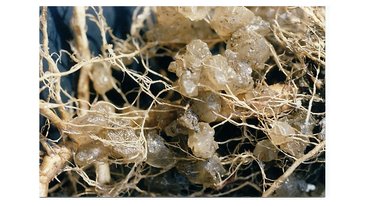Soil Moist Hydrogel Granules 8 oz for Efficient Water Storage