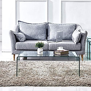 Premium Tempered Glass Coffee Table,Clear Coffee Table, Small Modern Coffee Table for Living Room,Match Well with Rug (39.4x19.7x13.8)