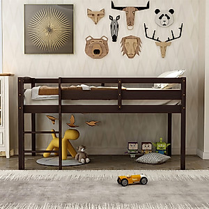 Bellemve Low Loft Bed Twin Size Wooden Loft Bed Frame with Ladder for Kids Girls Boys Teens, Espresso