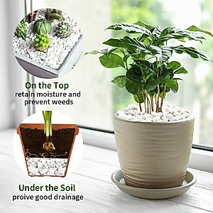 FANTIAN 2 lbs White Gravel, 3/8 Inch White Pebbles for Indoor Plants. White Stones for Succulents, Planters, Vase and Outdoor Garden Landscaping