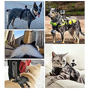 Dog Harness Mount for Gopro, Soft and Adjustable Dog Harness Vest with 2 Mouting Base Pet Chest and Back Fixation for Gopro Hero All Models, Suitable for Small Medium Large Dogs