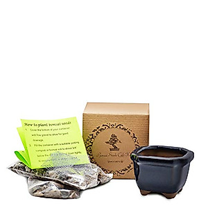 9GreenBox: Bonsai Seed Kit - Japanese Cherry Blossom
