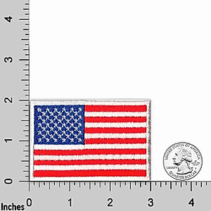 Laughing Lizards American Flag Patch (2-Pack) Iron On USA Patches, USA United States of America, US Flag Patch, sew on for Cloth Uniform Hat Backpack Jacket Pants Accessories (Standard)