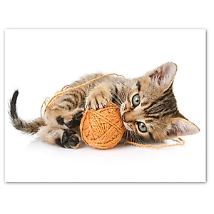 Small World Greetings Playful Kitten Cards 12 Count - Blank Inside with Envelopes - A2 Size (5.5”x4.25”) - Cat Stationery - All Occasion, Thank You, Birthday, and More